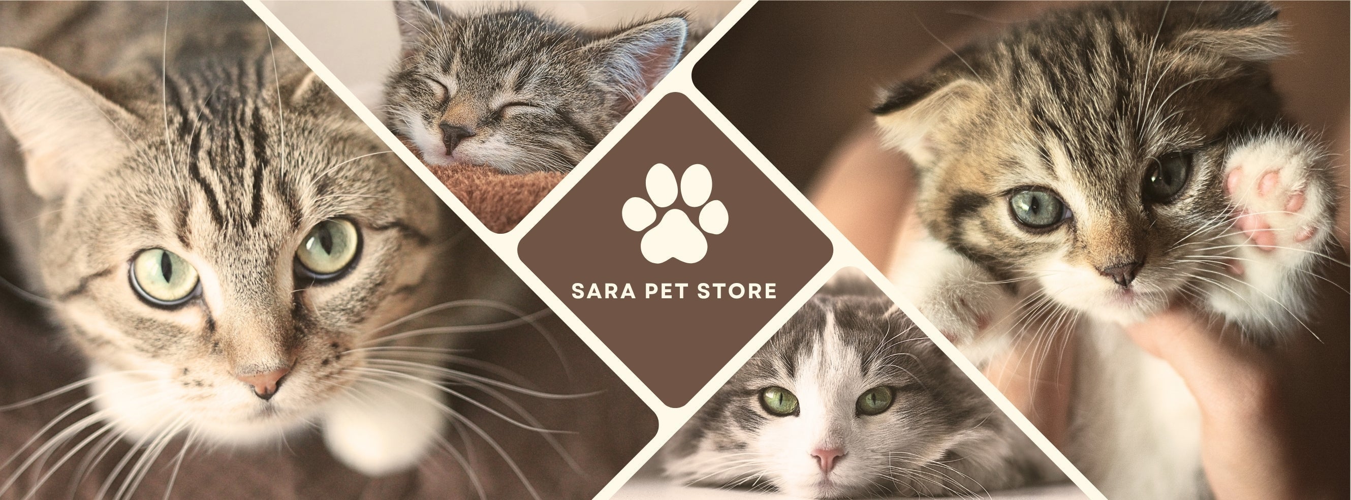 Cats – Sara Pet Stores